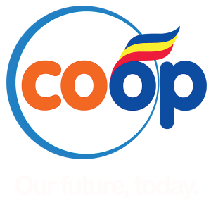 UN unveils 2025 International Year of Cooperatives Logo - NATCCO NETWORK